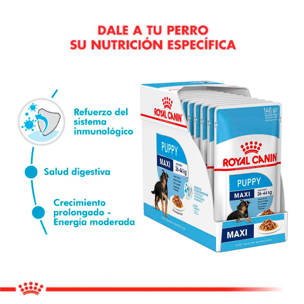 Royal Canin Caja Pouch Maxi Puppy - Veterinaria Sebastian - Veterinaria ...